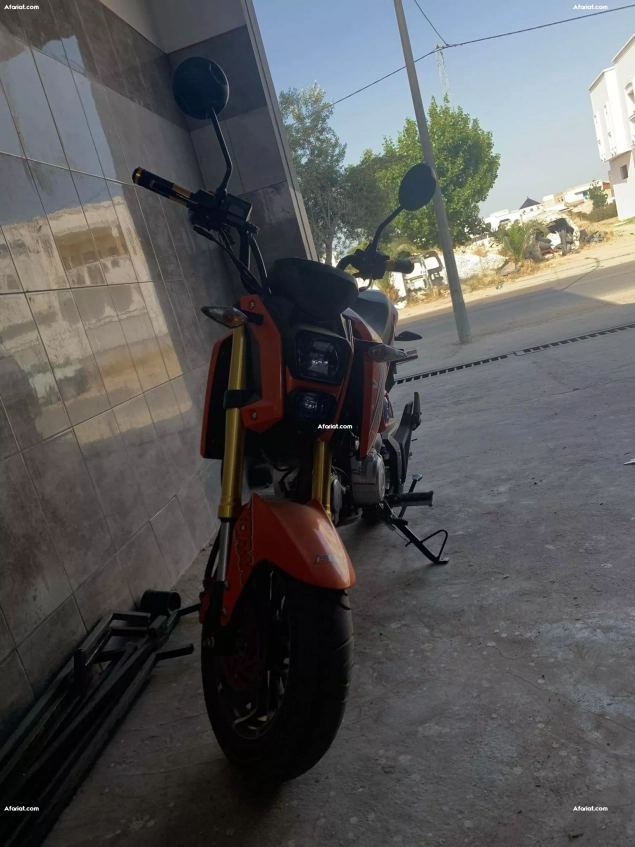 Korak model 2020 moteur ftm | afariat.com