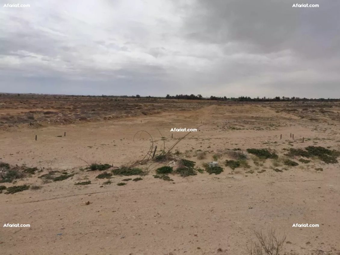 Vente au mètre carré d'un terrain titré au bord du la mer à gabès ...