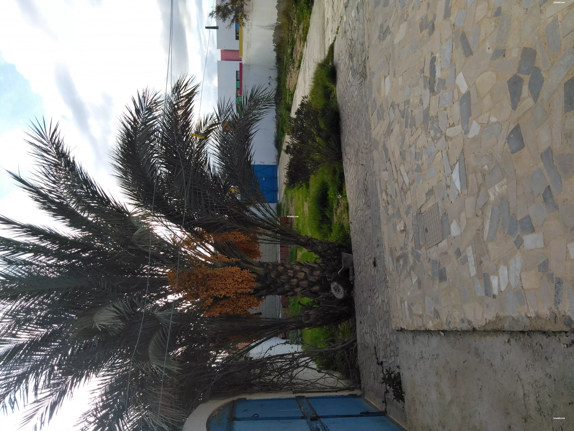 Villa à vendre à raoued plage | afariat.com